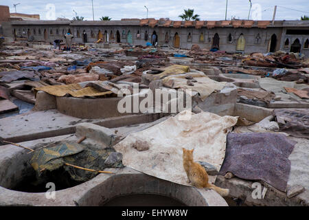 Tanneries (Tannery), outdoor tanning vats, Medina (Old Town), Marrakesh ...