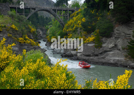 Jet boat speeding into the Shotover River canyon under the Edith Cavell ...