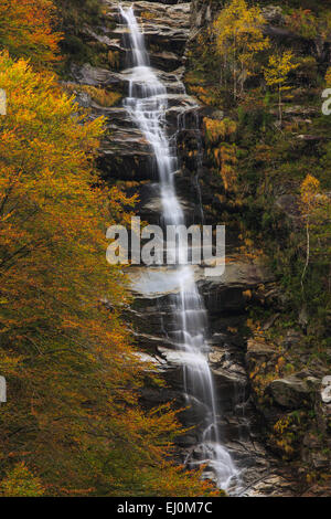 Cascades in beech forest on the Druidenweg (Druid's Way) in the ...