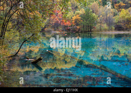 Jiuzhaigou, national park, Five Flowers Lake, China, Asia, province ...