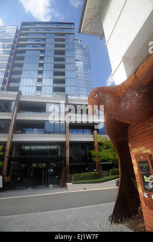 Bird sculpture decorating buildings in NewActon precinct, Canberra ...