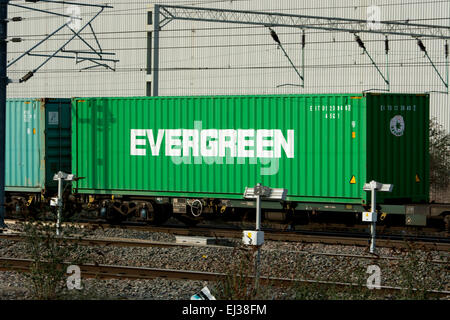 Shipping containers on the railway. Evergreen and APL containers Stock ...