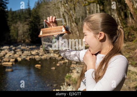 Nine year old girl admiring freshly caught insects in her bug box, in ...