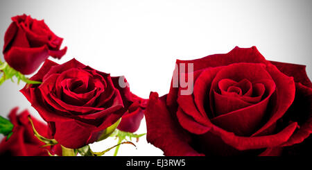 Composite image of red roses Stock Photo - Alamy
