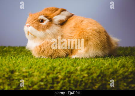 Ginger bunny rabbit Stock Photo - Alamy
