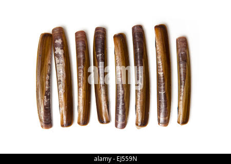 Raw Razor Clams isolated on a white studio background Stock Photo - Alamy