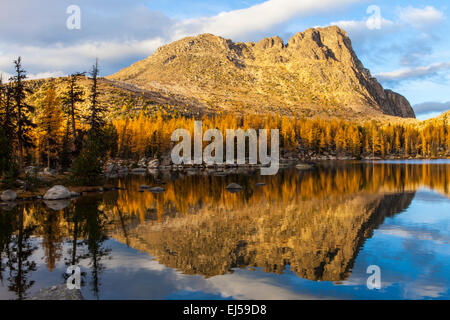 Cathedral Peak and larches reflected in Cathedral Lake after sunset ...