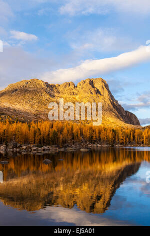 Cathedral Peak and larches reflected in Cathedral Lake after sunset ...