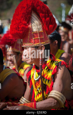The image of Angami Naga tribe man at Hornbill festival, Nagaland, Inda ...