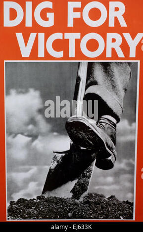 Dig for Victory wartime poster Stock Photo - Alamy