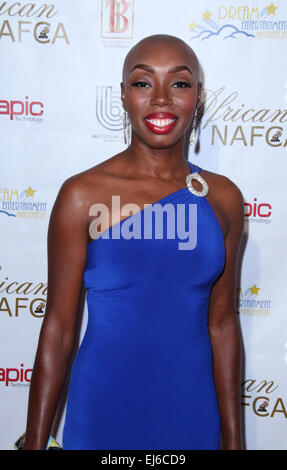 The 2014 Nollywood & African Film Critics Awards held at the Saban ...