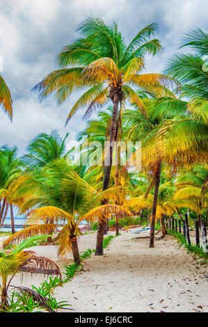 Isla Mujeres Beach Shoreline Stock Photo - Alamy