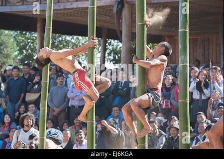 Bamboo Climbing in Hornbill festival Stock Photo - Alamy