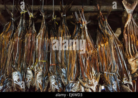 Morning fish market, Sittwe, Rakhine State, Myanmar Stock Photo - Alamy