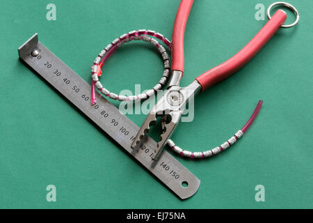 Equipment for bird ringing, bird banding Stock Photo - Alamy