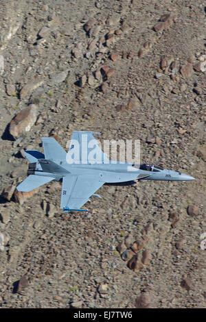 Hornet Super Hornet F18 F straight and level Stock Photo - Alamy