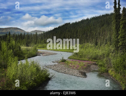 Mountains in Alaska Stock Photo - Alamy