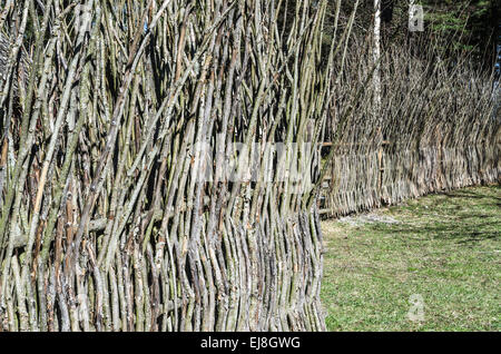 The fence is woven from dry branches, close-up. Weaving from dry willow ...
