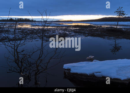 swamp landscape by night, Lapland, Sweden Stock Photo - Alamy