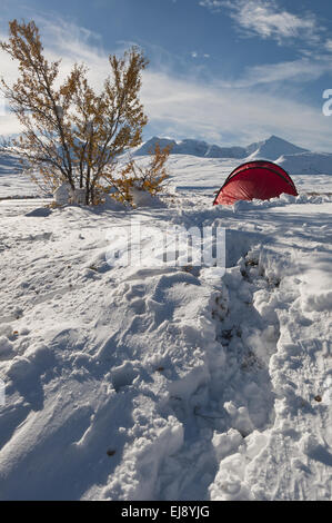 tent in snow, Rondane NP, Norway Stock Photo - Alamy