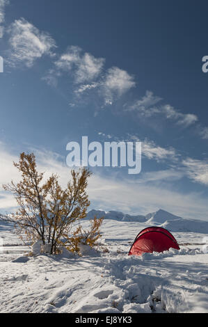 tent in snow, Rondane NP, Norway Stock Photo - Alamy