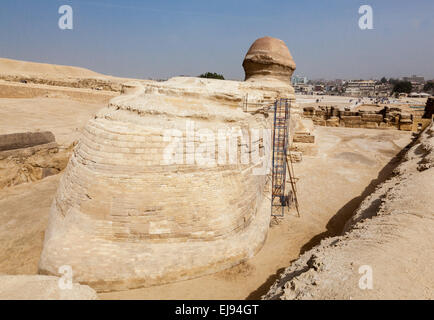 Rear view of Giza Sphinx with Cairo suburbs in background. Egypt Stock ...
