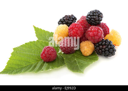 Blackberry and raspberry Stock Photo - Alamy