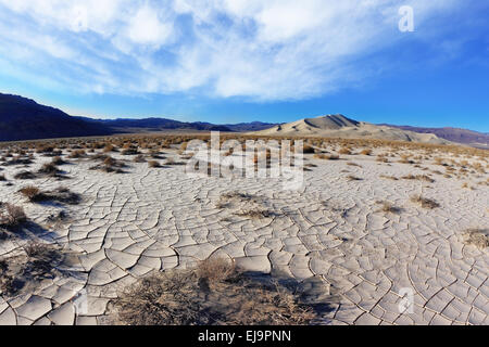The fissured clay- takyr Stock Photo - Alamy
