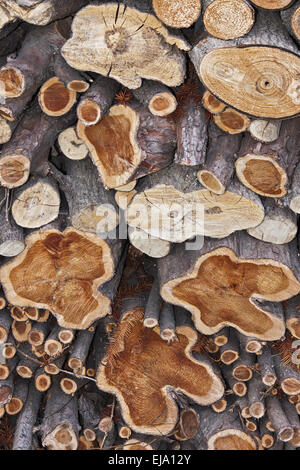 Stack of firewood, unsplit Stock Photo - Alamy