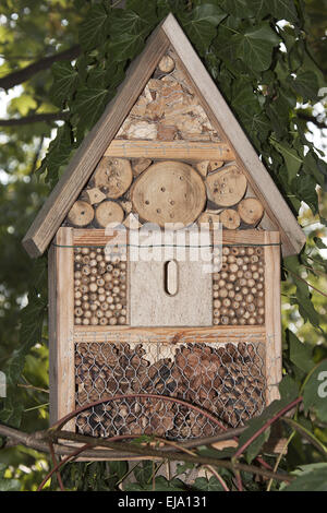 Insect asylum, insect box, an artificial help for nesting and ...