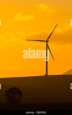 CALEDON, SOUTH AFRICA - Saturday 21 March 2015: a wind farm outside the ...