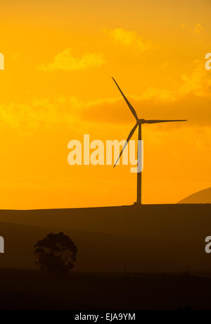 CALEDON, SOUTH AFRICA - Saturday 21 March 2015: a wind farm outside the ...