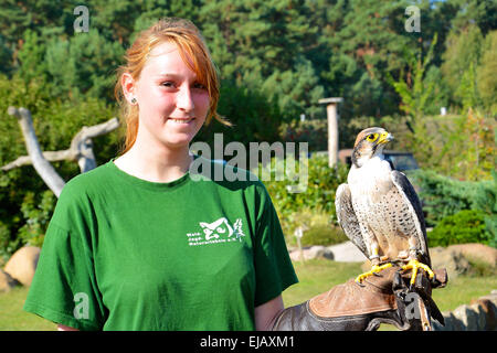 German falconer with Falcon Stock Photo - Alamy