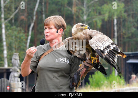 German falconer with Bussard Eagle Stock Photo - Alamy