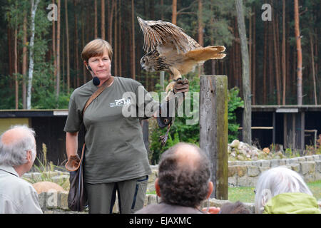 German falconer with siberian eagle owl Stock Photo - Alamy