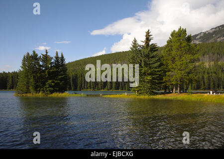 Small charming island on a shallow of the Canadian lake Stock Photo - Alamy