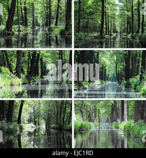 Silence in the Spree Forest Germany Stock Photo - Alamy