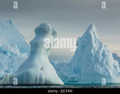 icebergs, Pleneau Bay Antarctica Stock Photo - Alamy