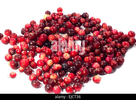 Cranberries. The scattered berries on white background. Fresh ripe red ...