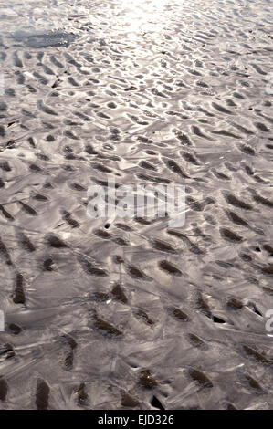 Insel Amrum Nordfriesland - Textur Hintergrund feiner Sandstrand braun ...