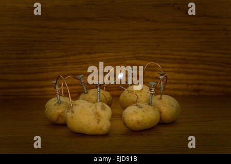 alternative energy source electrical current of potato arranged is ...
