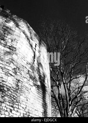 Remains ruin ruins of the Multangular Tower in summer York North ...