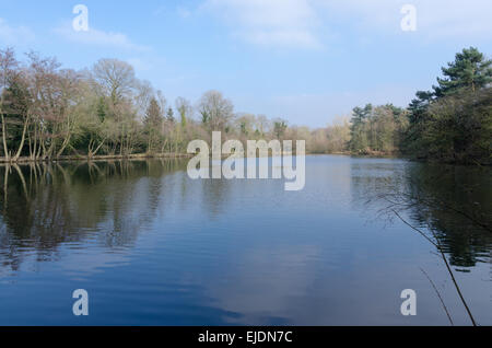 Ice House Pool in Priory Woods in Sandwell Valley Country Park, West ...