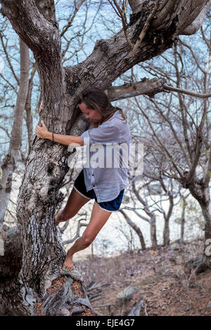 A young woman is climbing a tree on a tropical beach Stock Photo - Alamy