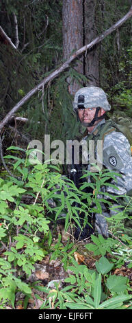 A U.S. Army Expert Infantryman Badge (EIB) candidate, stationed at the ...