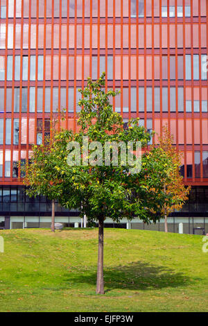 Tree in front of a modern facade, Berlin Stock Photo - Alamy