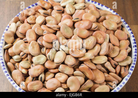 Dried broad beans or fava bean, a major food staple, showing holes ...