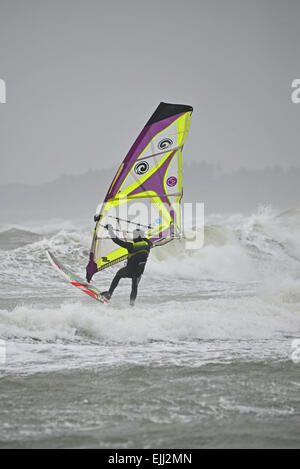Surfing Rhosniegr Anglesey N Wales Uk surfboards surf sea wind spray ...