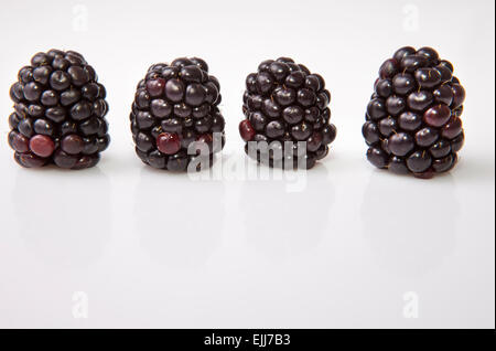 Fresh ripe blackberries in line. Isolated over on white background ...