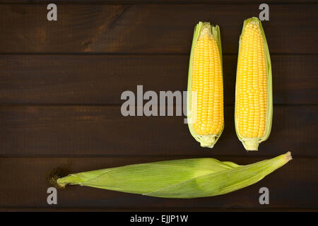 Two Fresh raw corn without toxin in hand. Concept of ecological non GMO ...